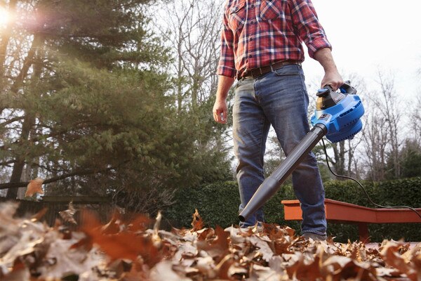 Vacmaster 10-Gallon 4 Peak HP Wet/Dry Vacuum with Detachable Blower ...